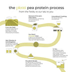 peanut butter flavour plant protein shake