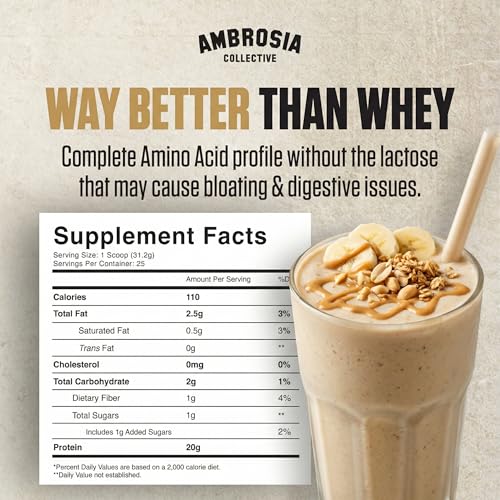 Peanut butter plant based protein shake