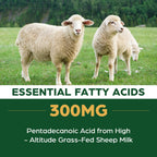 Pentadecanoic acid capsules for energy support