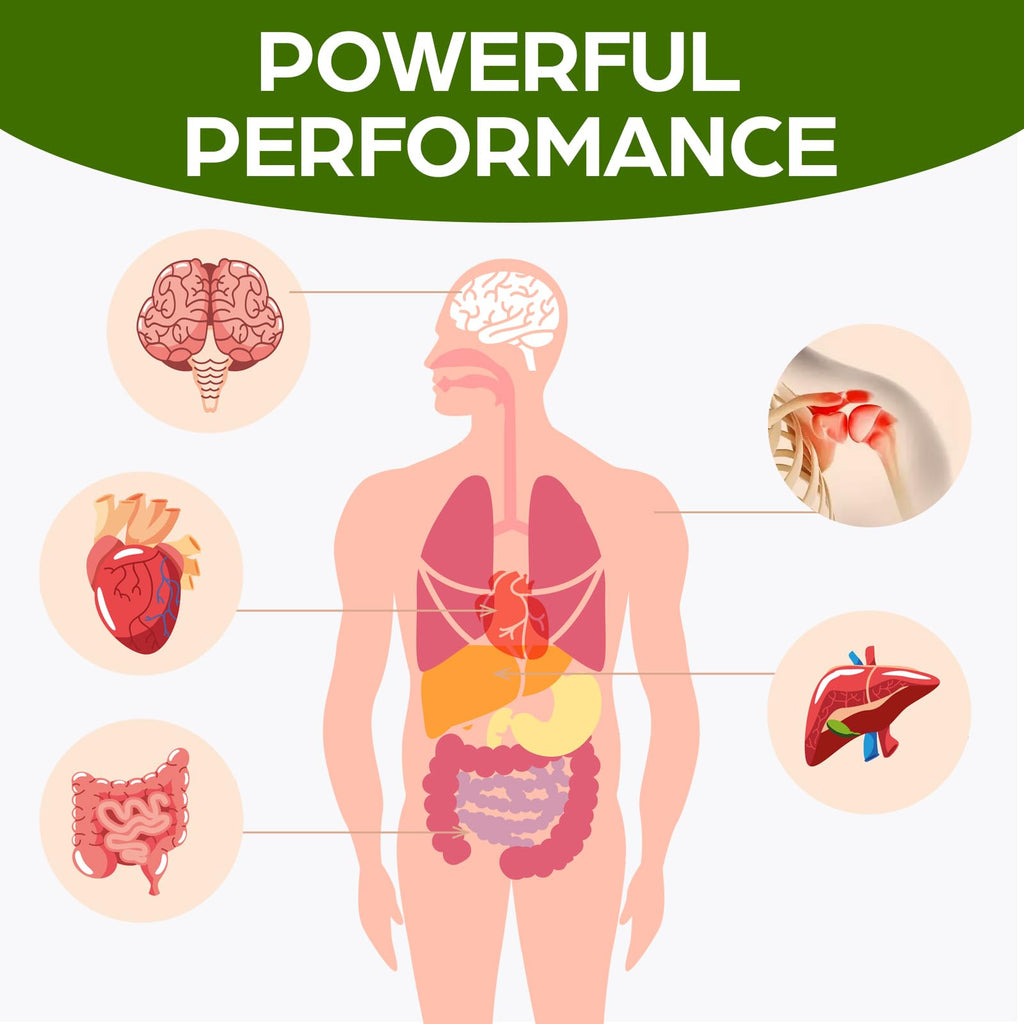 Pentadecanoic acid for cognitive support