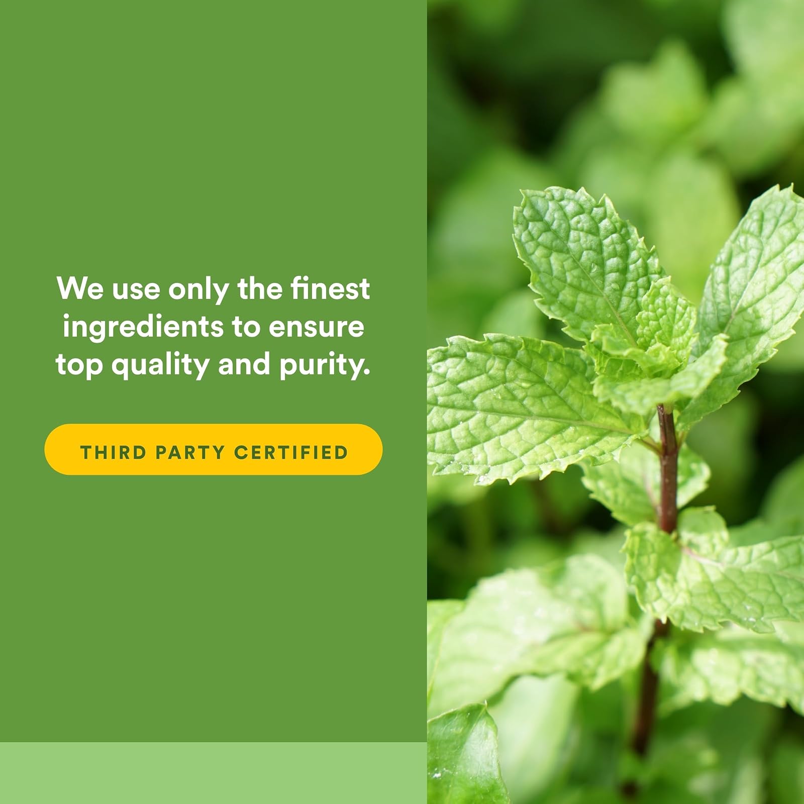 peppermint oil complex for wellness