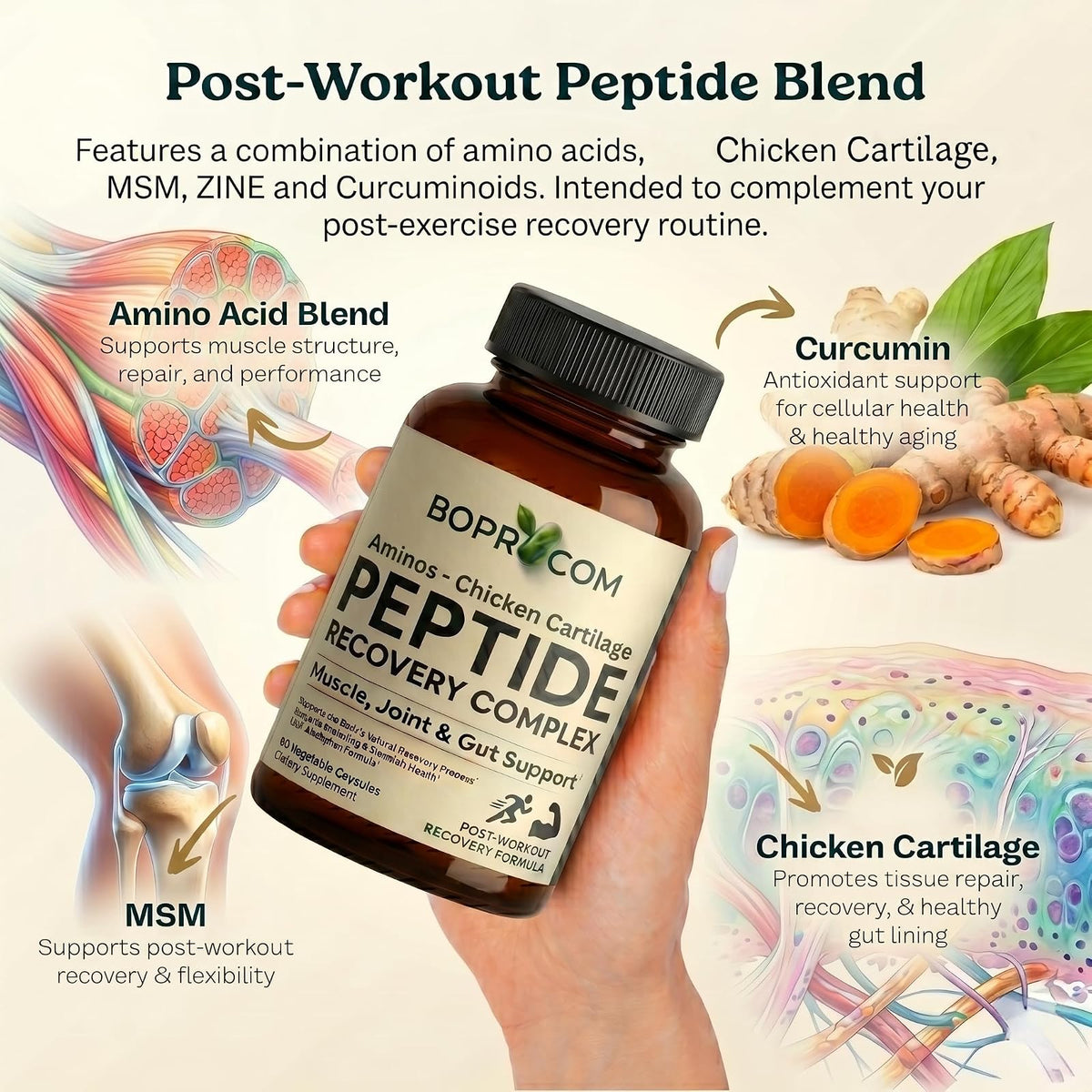 Peptide Recovery Complex for athletes