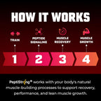 PeptiStrong post-workout protein boost