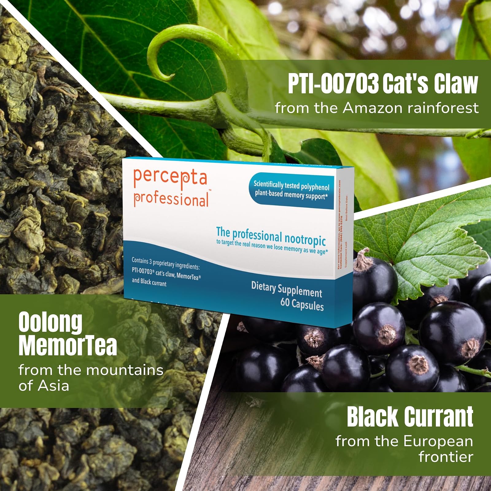 Percepta professional brain health formula