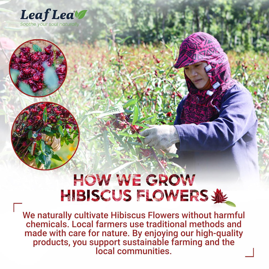 perfect for herbal tea lovers