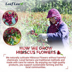 perfect for herbal tea lovers