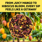 perfect gift for tea lovers