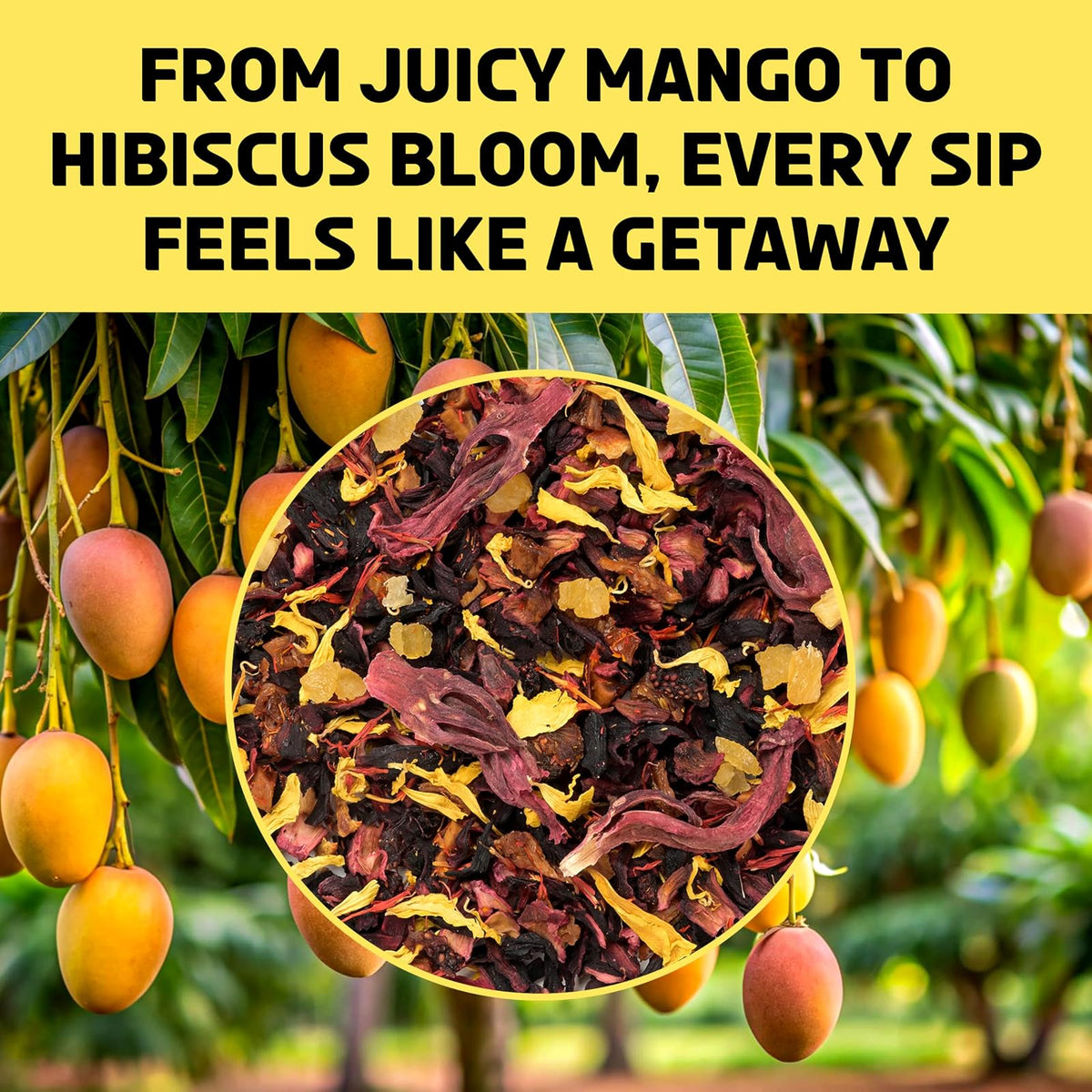 perfect gift for tea lovers