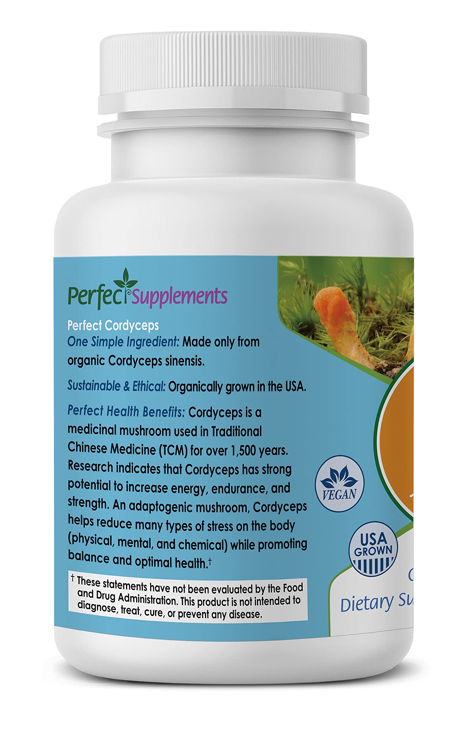 perfect mushrooms for active lifestyle