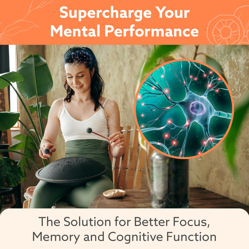 performance blend of medicinal mushrooms