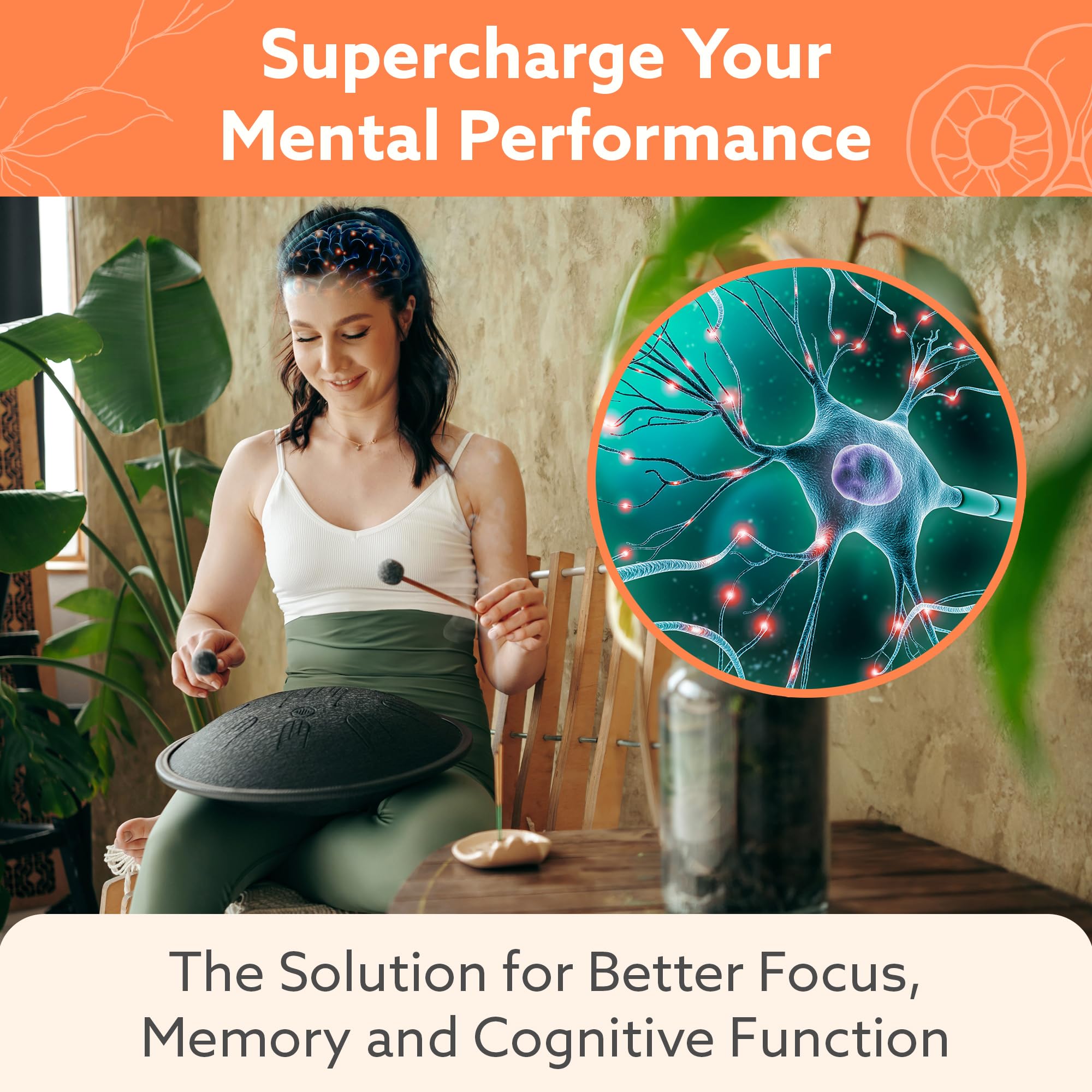 performance blend of medicinal mushrooms