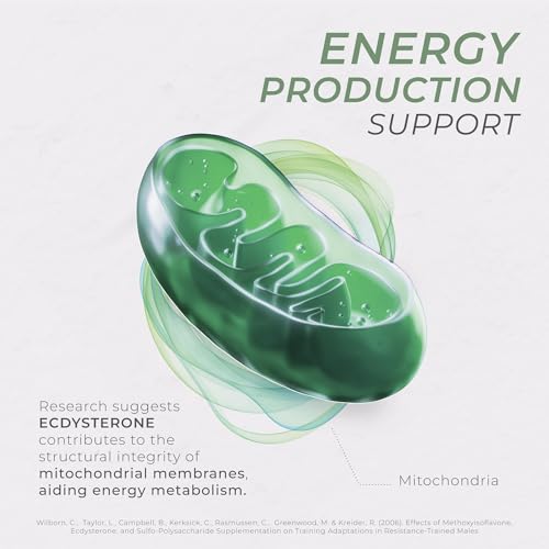 performance-boosting blended vitamins