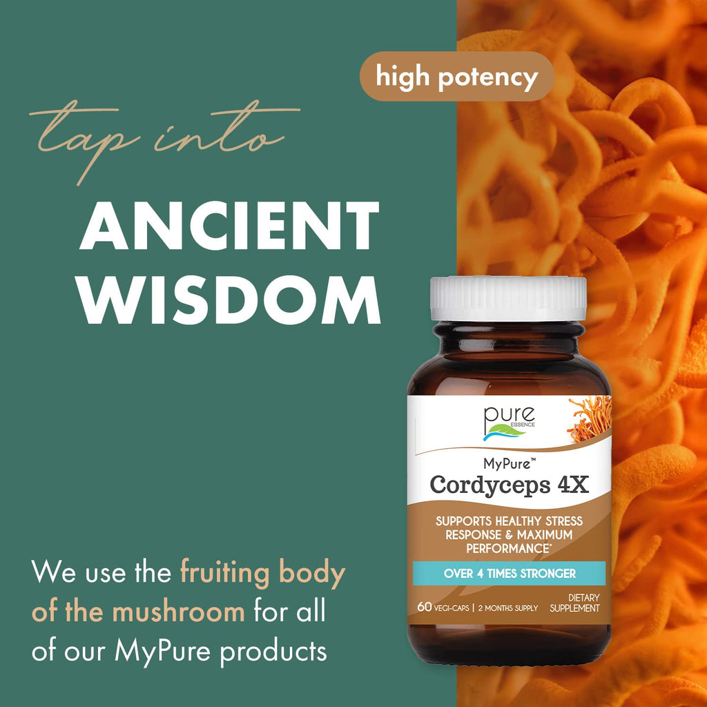 Performance-boosting mushroom supplements