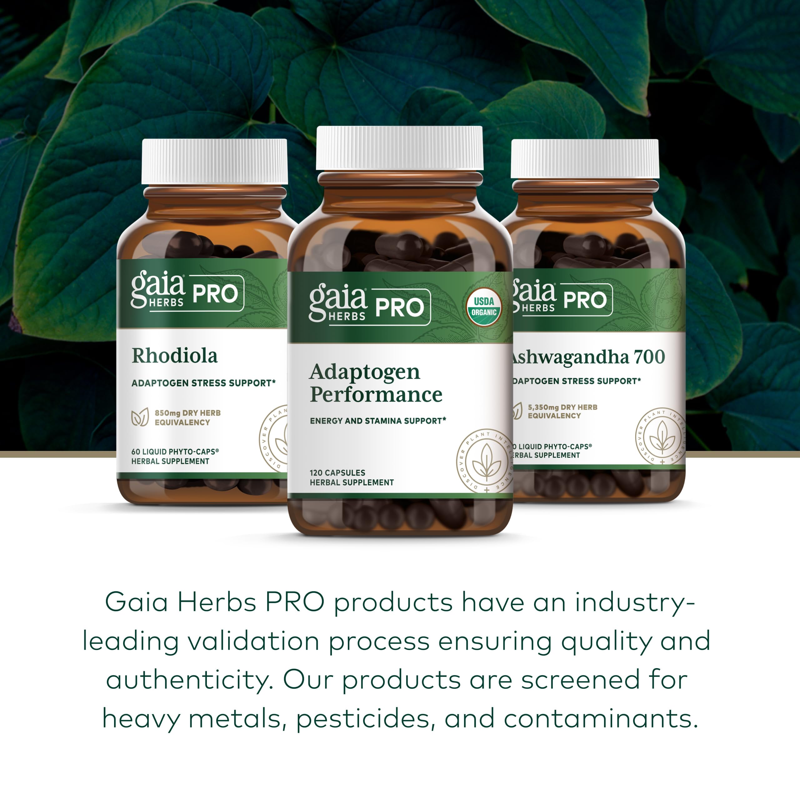 performance enhancement with GAIA HERBS PRO