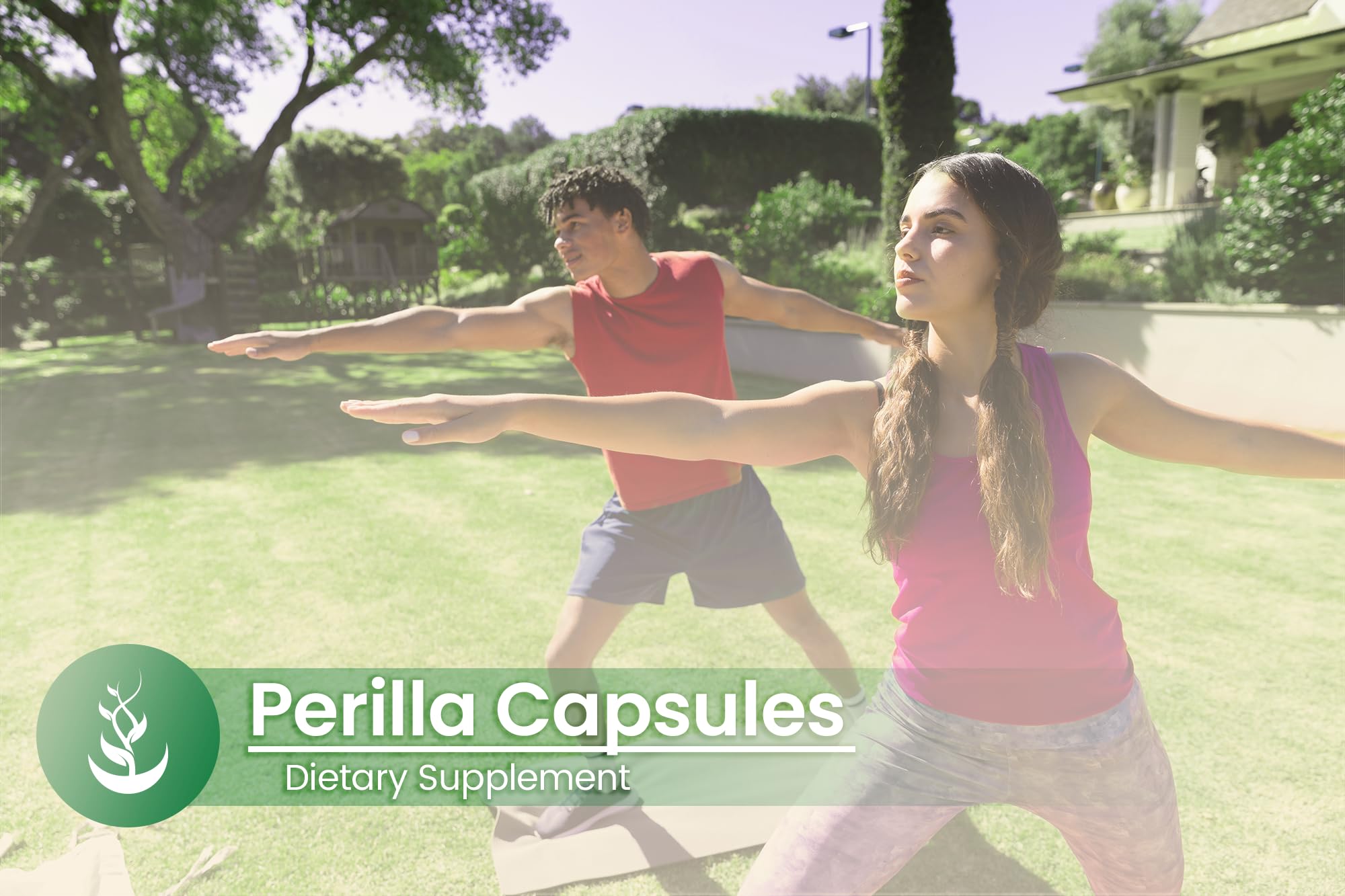 perilla capsules for daily nutrition