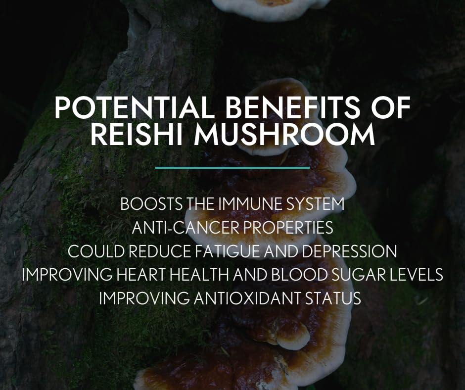 Peruvian maca root coffee benefits