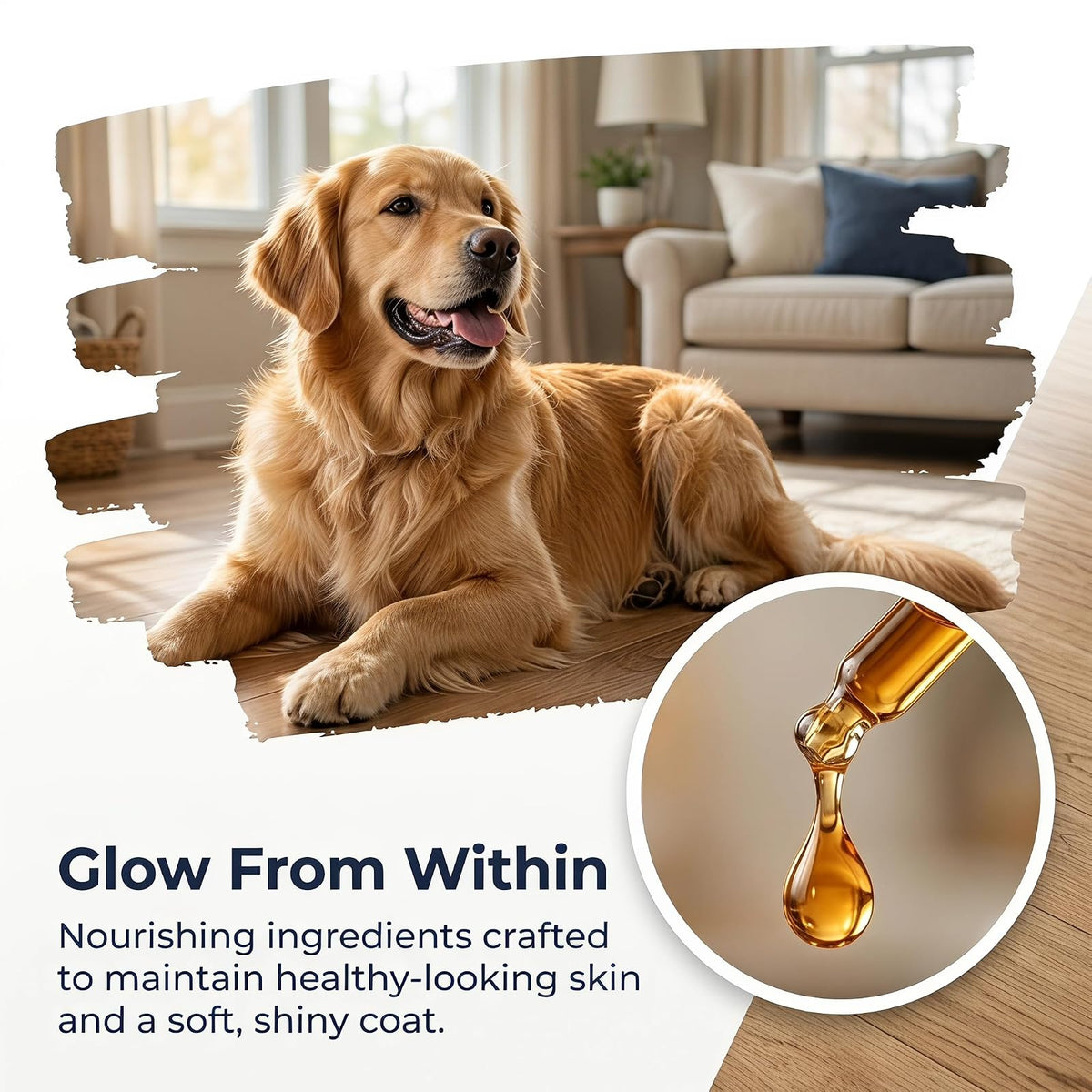Pet collagen for shiny fur