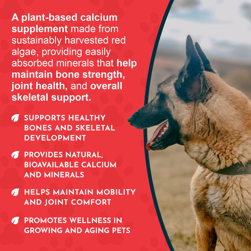 pet-friendly calcium supplement formula