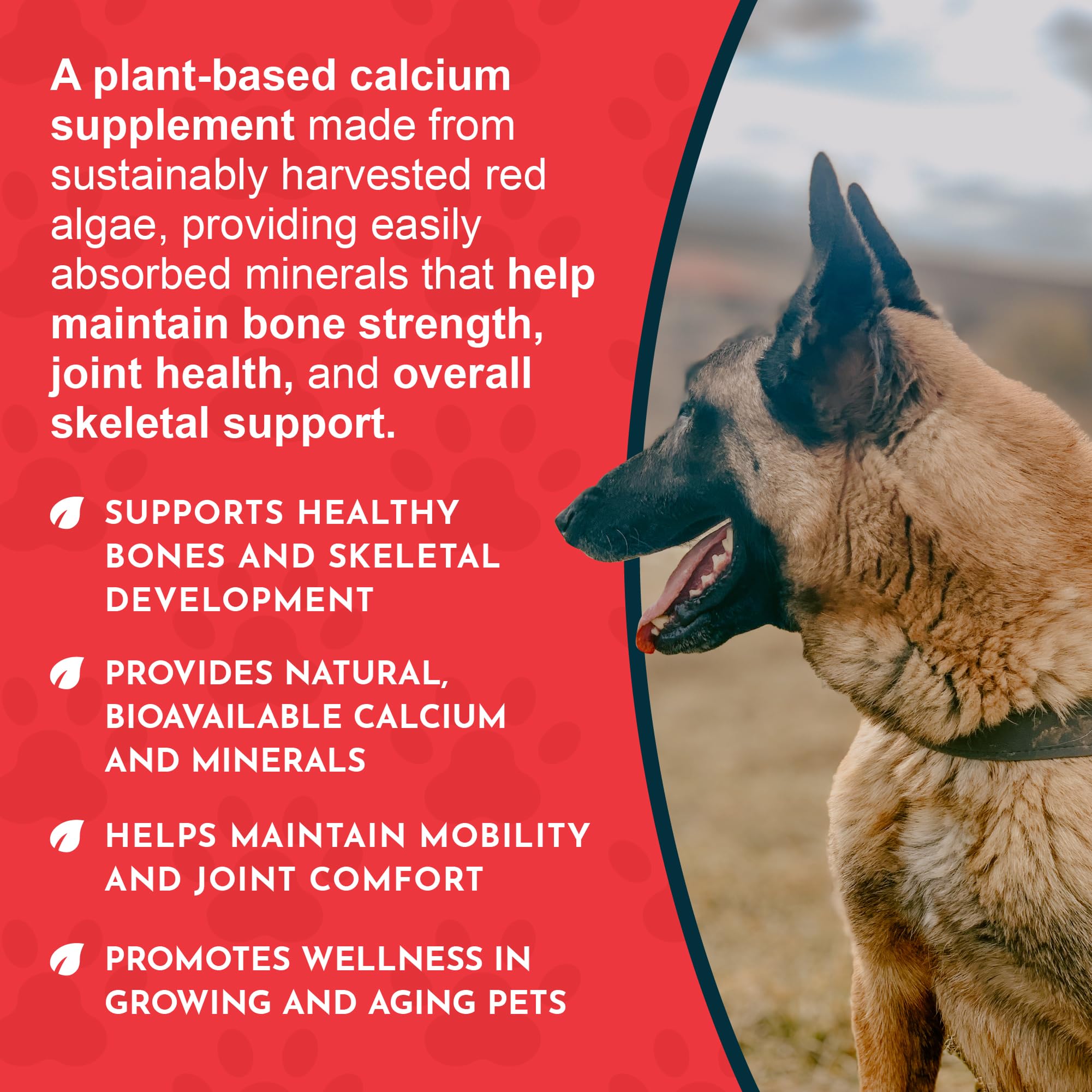 pet-friendly calcium supplement formula