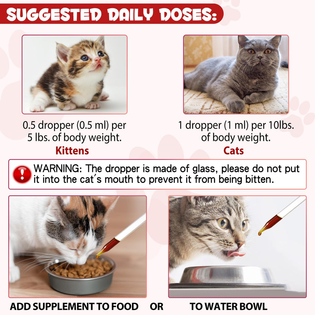 pet supplement for lethargic cats