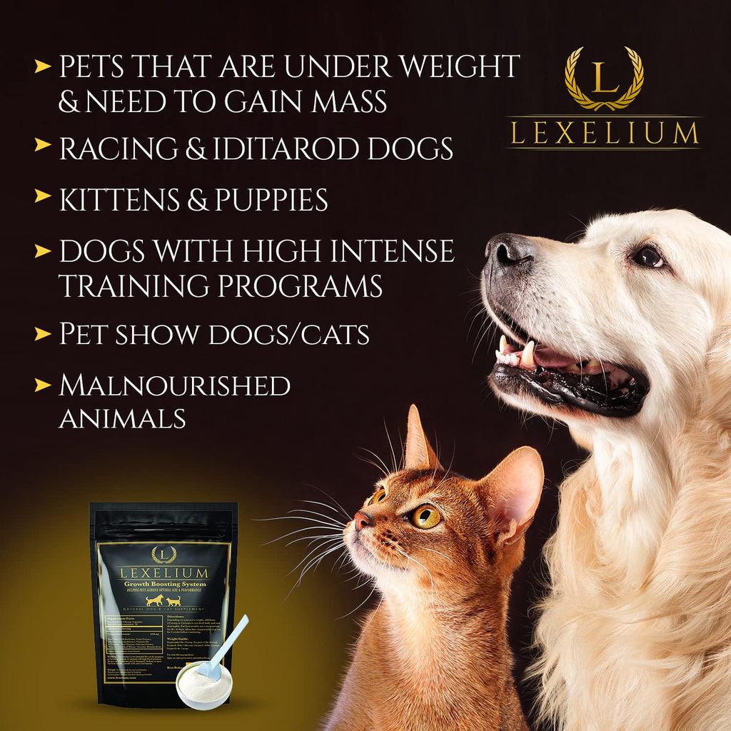 Pet supplement for muscle growth