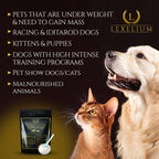 Pet supplement for muscle growth