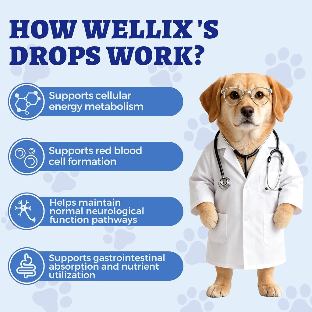 Pet vitamin B12 for better digestion