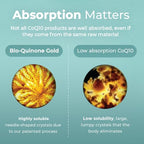 Pharma Nord CoQ10 antioxidant benefits