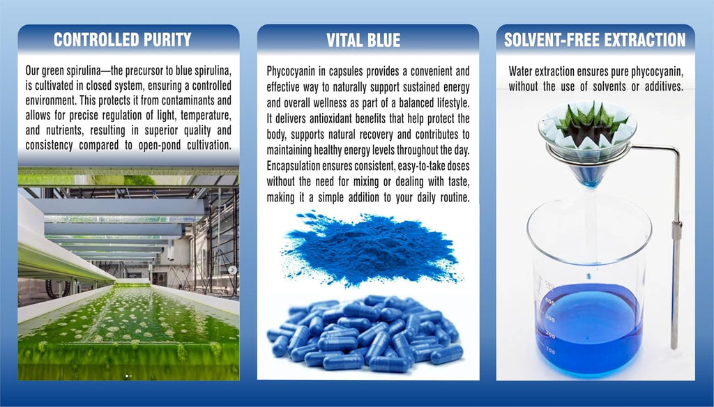 PHARMAKON phycocyanin for immune support