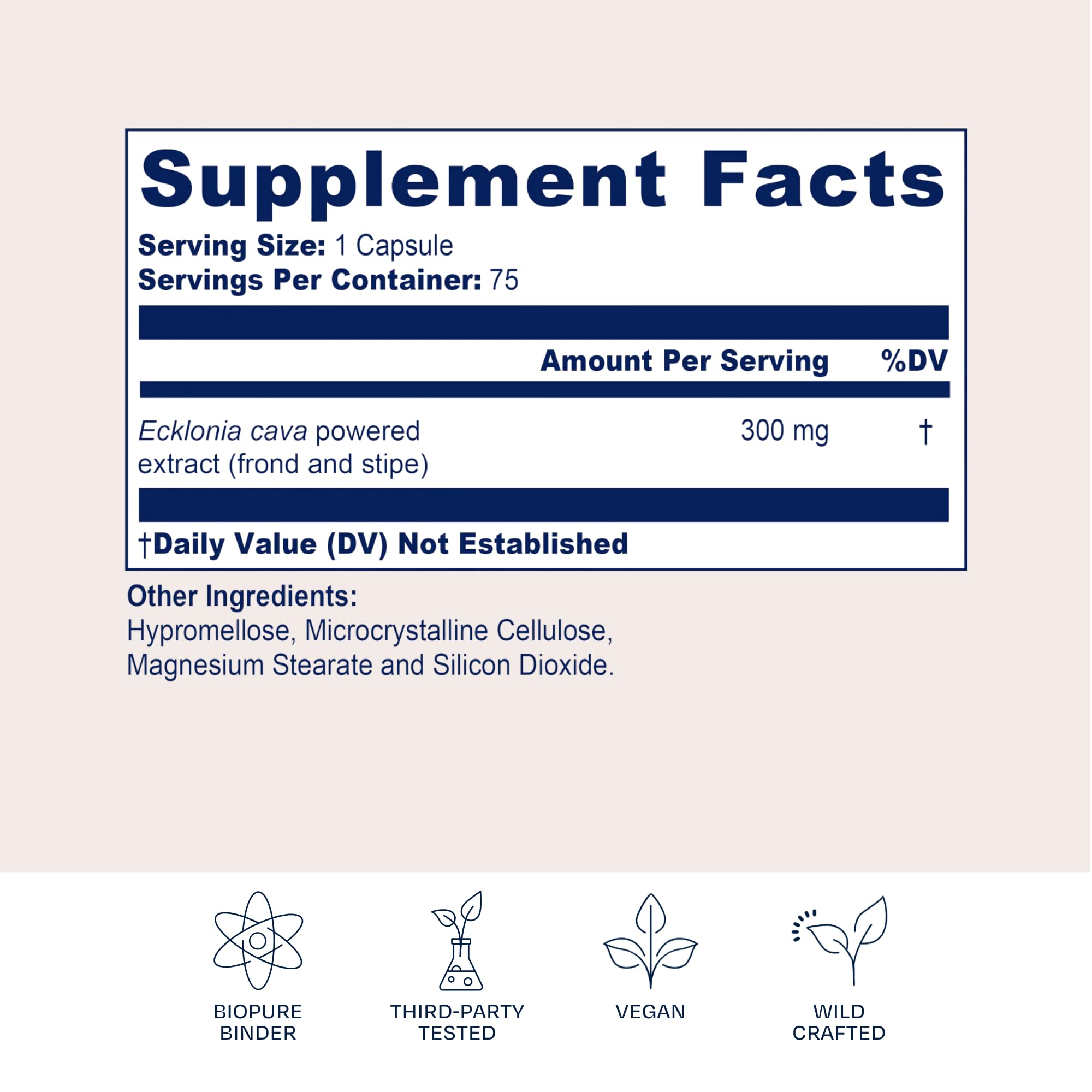 phlorotannins for cellular health