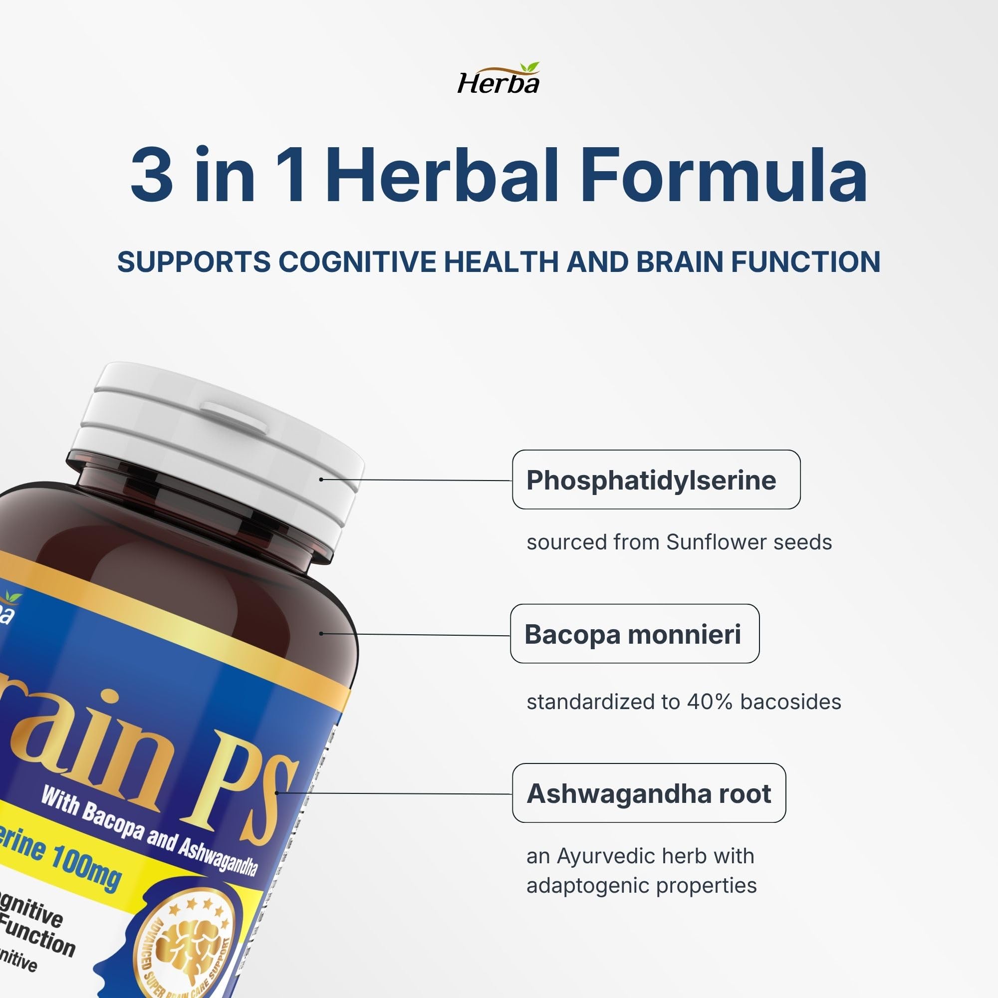 Phosphatidylserine benefits for focus