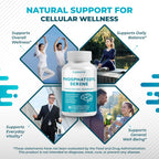 Phosphatidylserine for mental clarity
