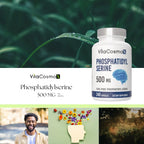 Phosphatidylserine for mental clarity