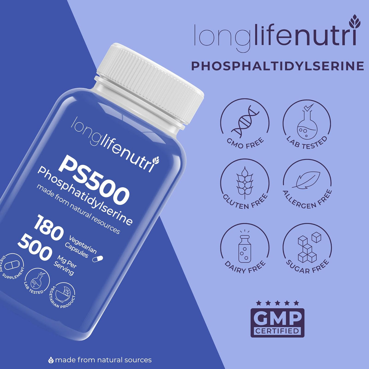 Phosphatidylserine multivitamin for seniors