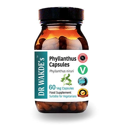 phyllanthus capsules for liver health