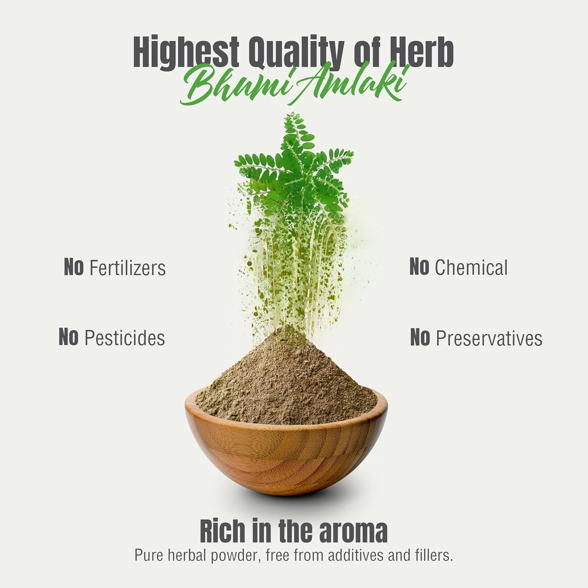 Phyllanthus Niruri for digestive wellness