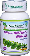 Phyllanthus Niruri health benefits