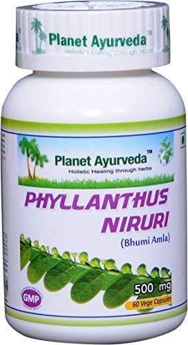 Phyllanthus Niruri health benefits