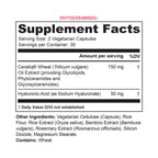phytoceramides for healthy skin glow