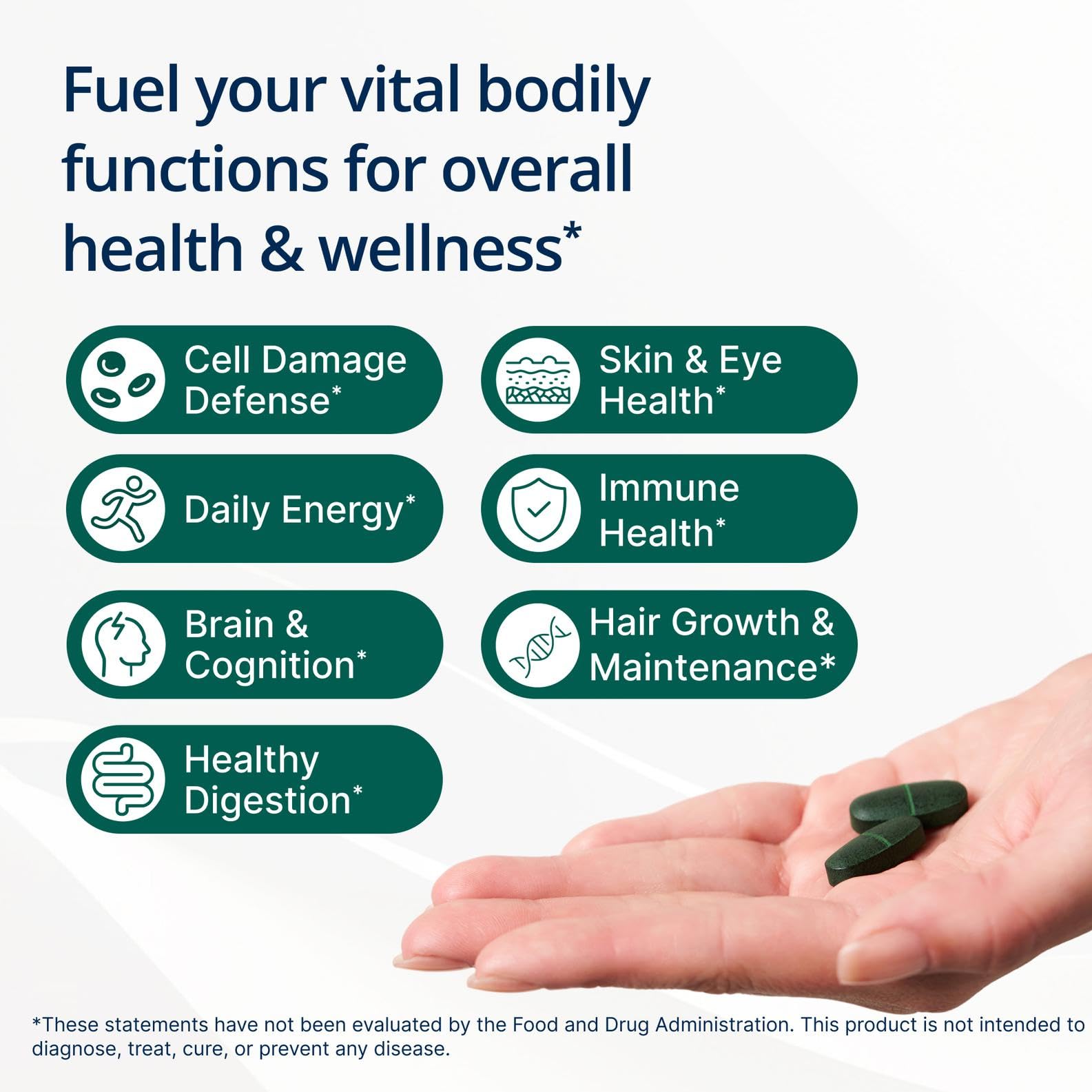 PhytoMulti with iron benefits
