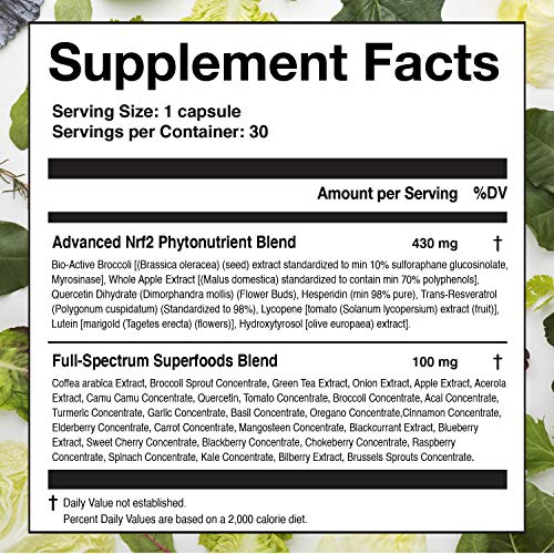 phytonutrient-packed blended vitamin & mineral supplements