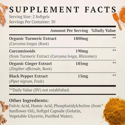 phytosomal curcumin for absorption