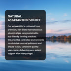 PhytoVital astaxanthin for skin health