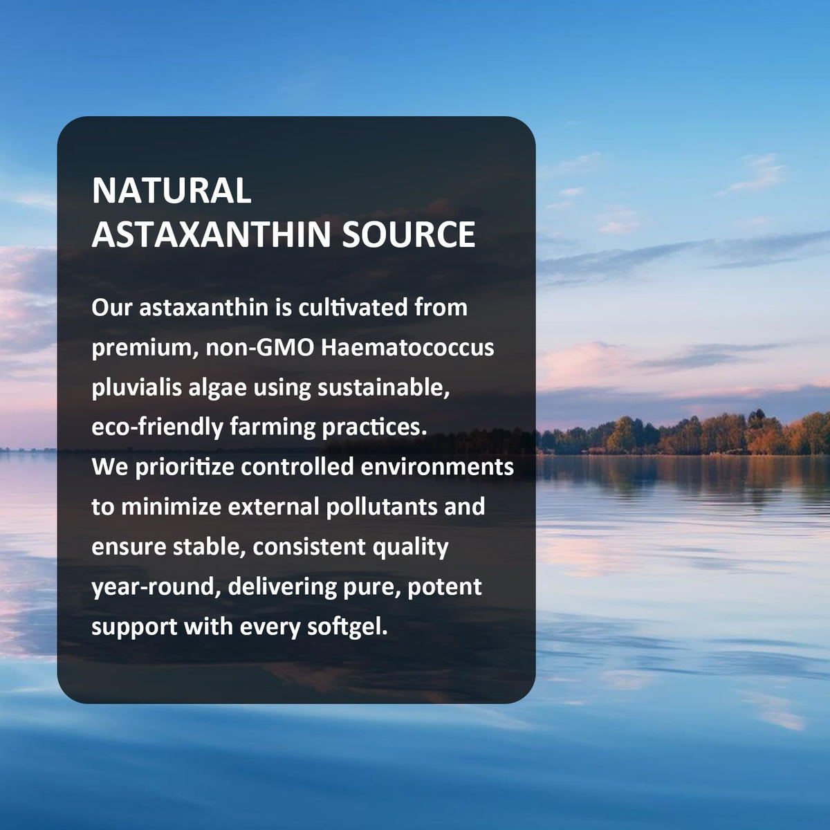 PhytoVital astaxanthin for skin health
