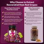 Piceid Resveratrol boosts immune function