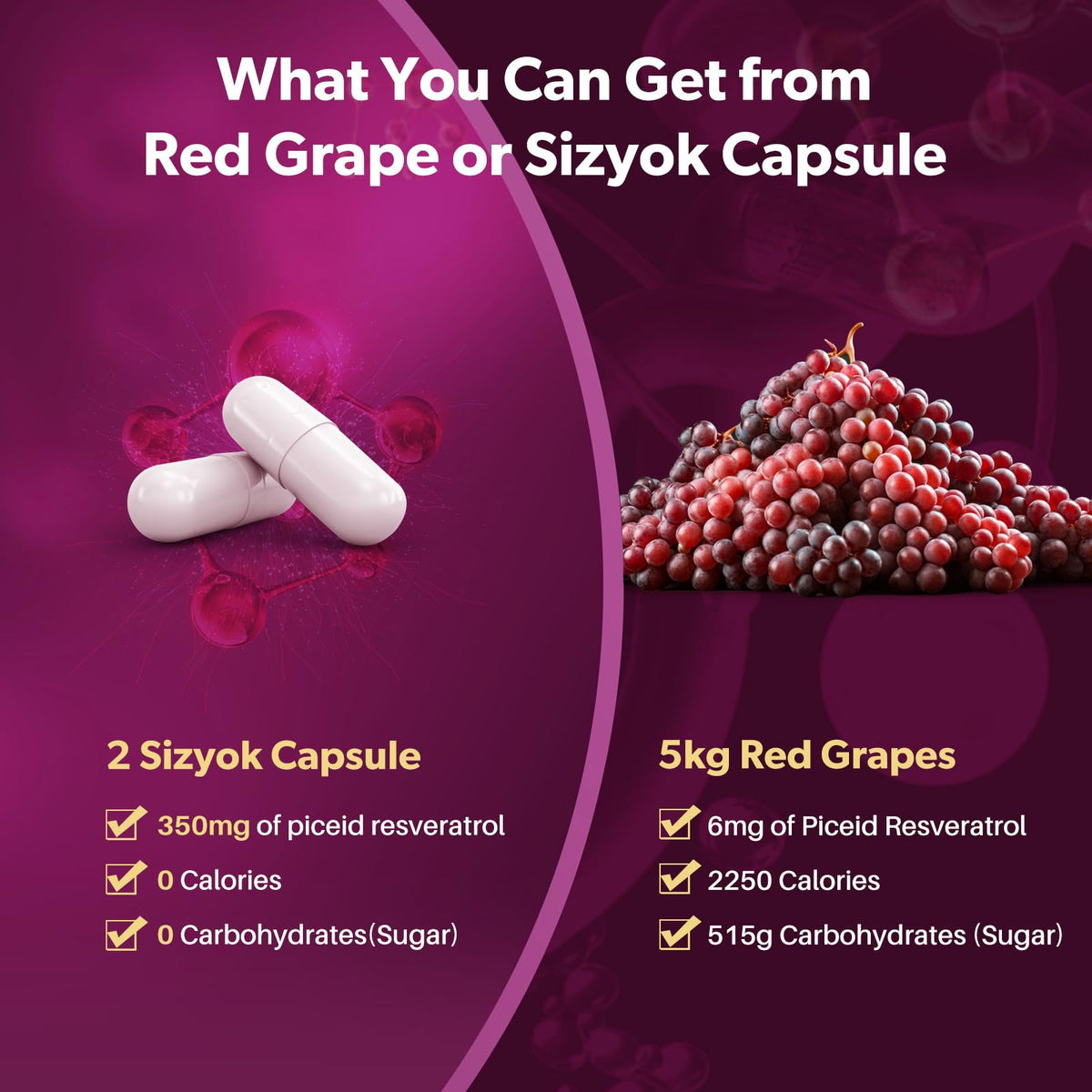 Piceid Resveratrol supports healthy aging
