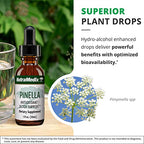 Pimpinella Anisum extract for immune support