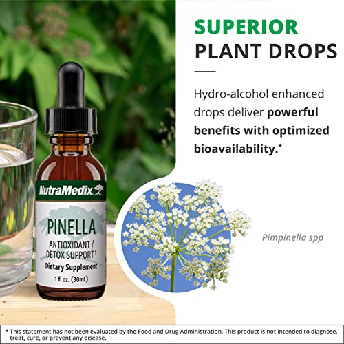 Pimpinella Anisum extract for immune support