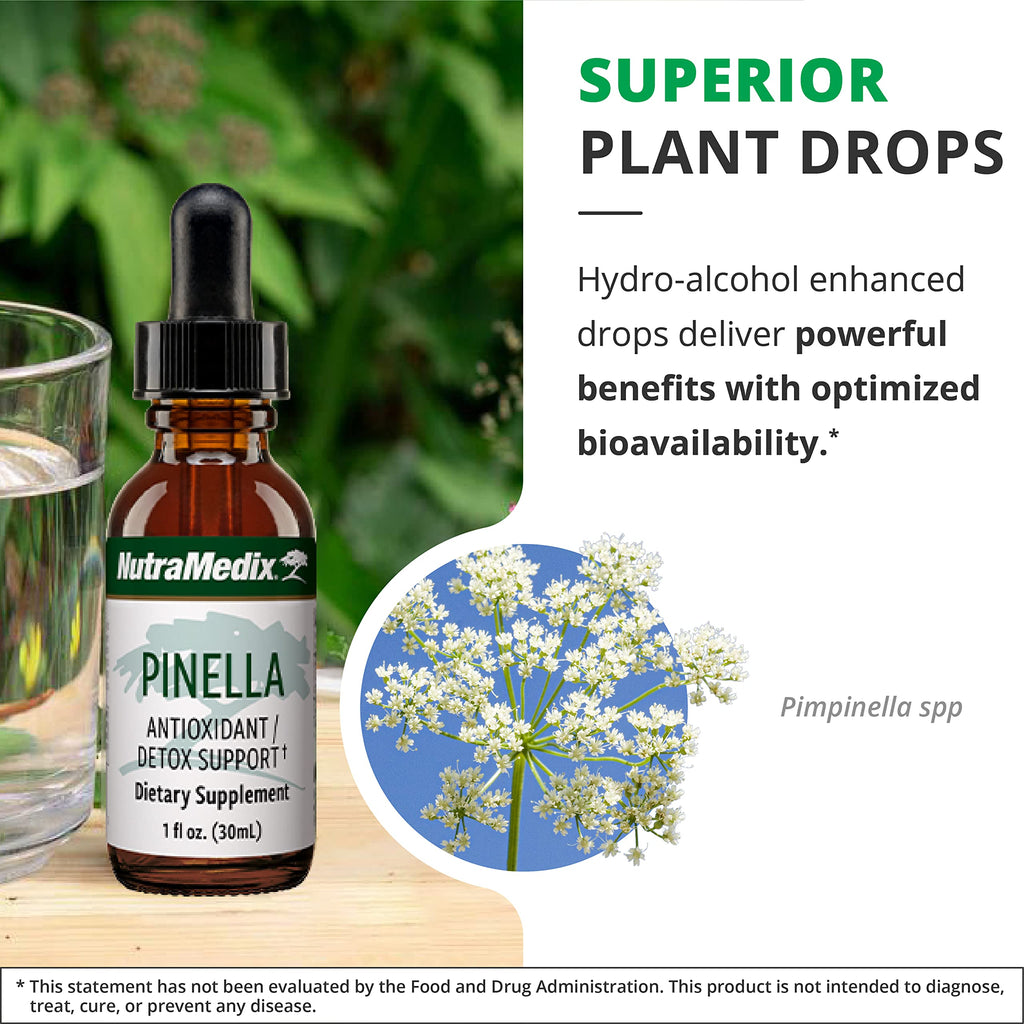 Pimpinella Anisum for wellness