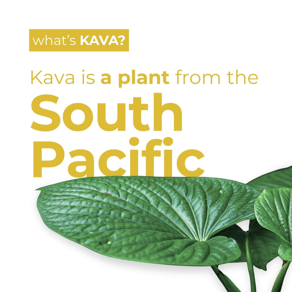 Pina Colada flavour kava mocktail